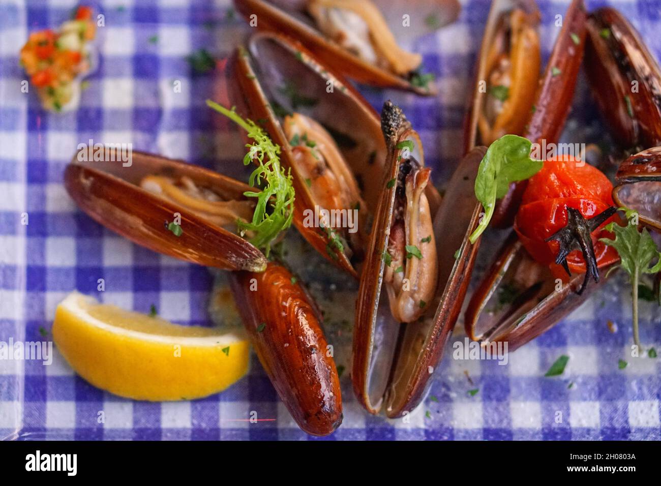 Date mussels shells sea food served at glass plate Stock Photo - Alamy
