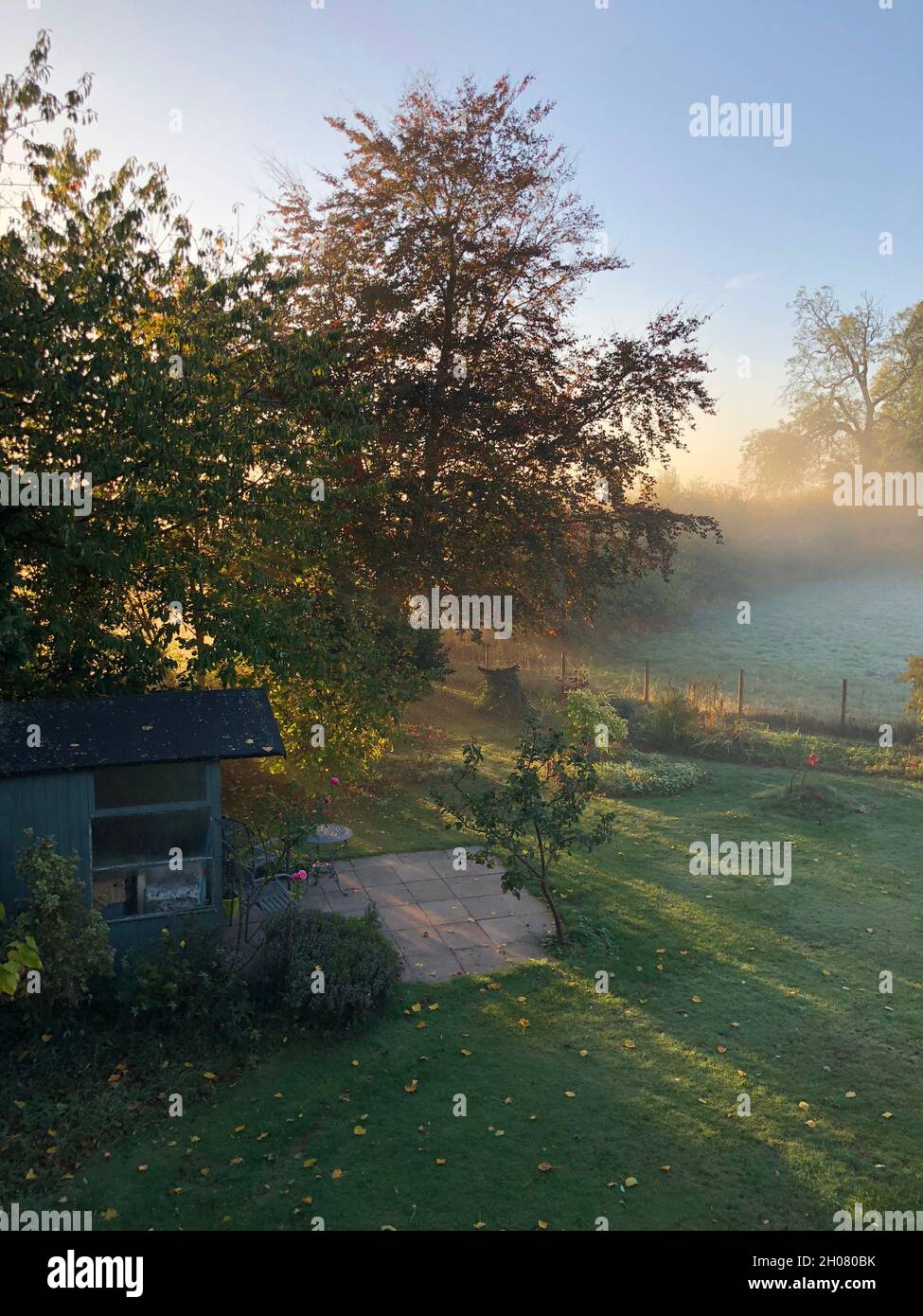 Garden october lawn hi-res stock photography and images - Alamy