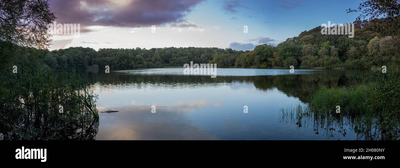 Filthy swamp hi-res stock photography and images - Alamy