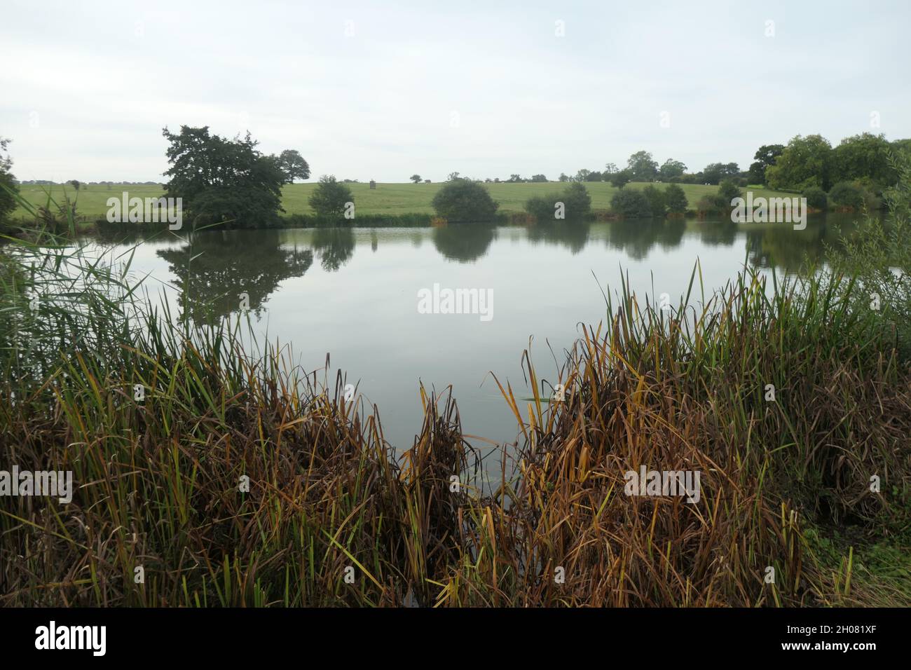 Fawsley Church St Marys stained glass from Sulgrave Manor and ...