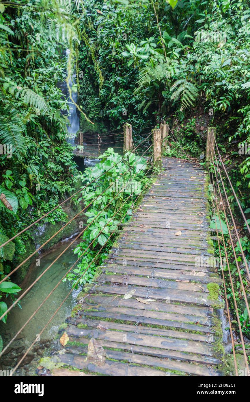 Mindo nambillo cloud forest reserve hi-res stock photography and images ...