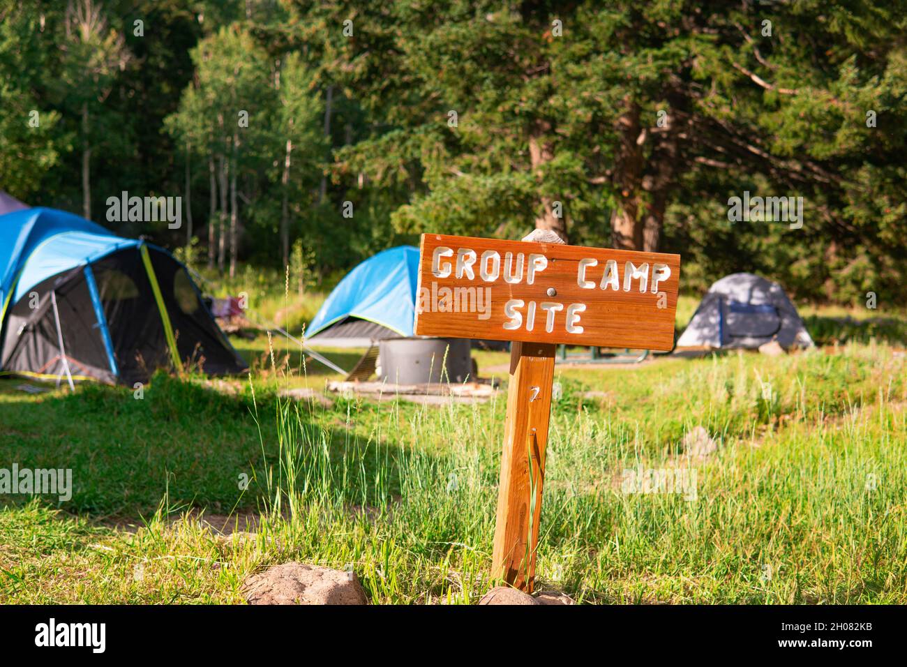 Group Camping In Wilderness Forest Stock Photo - Alamy