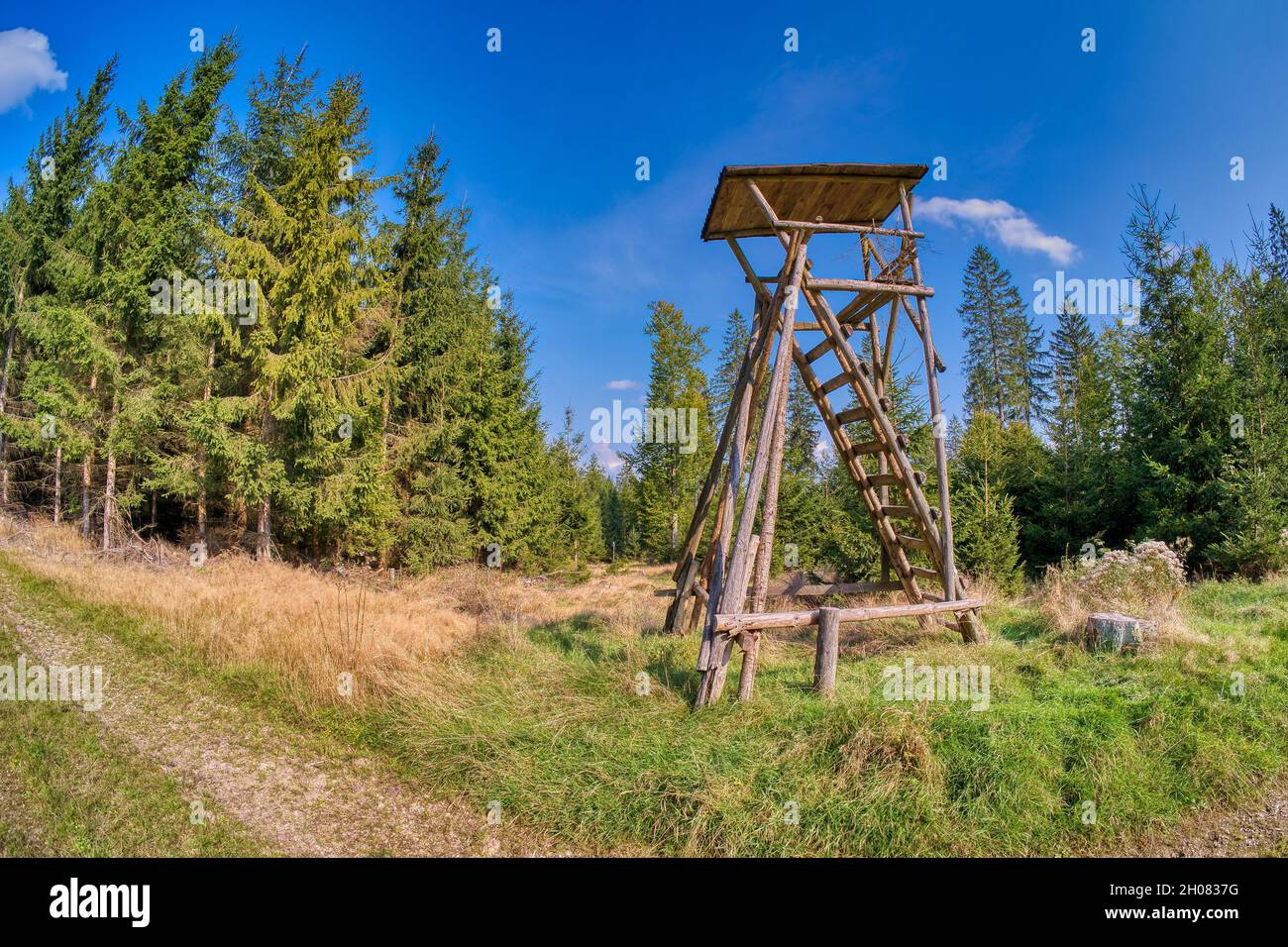 Beautiful view of a hunting tower in the forest during the day Stock ...