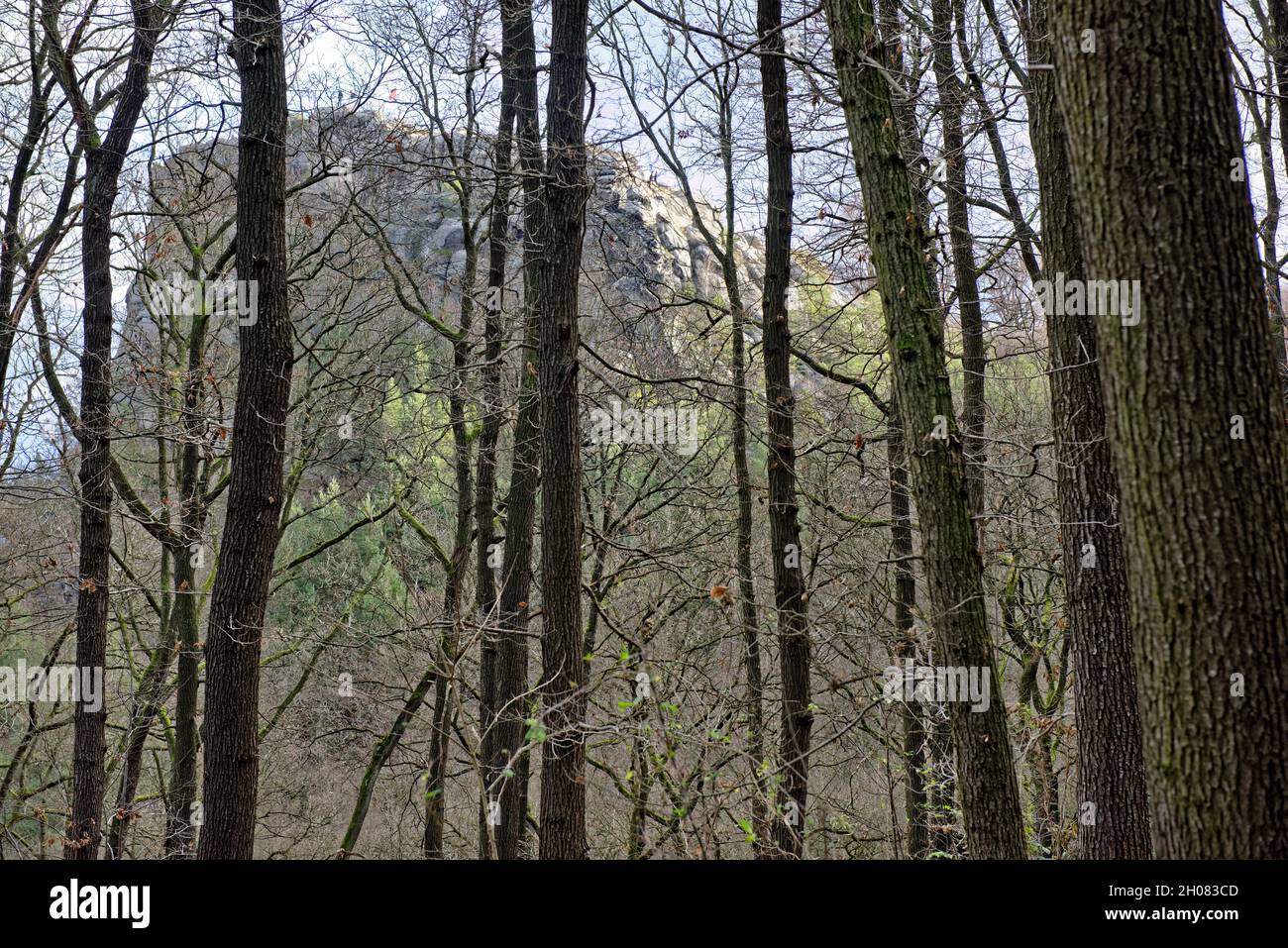 Regenstein Castle,Harz,Germany.Sandhutsche of Germanen.Burg Regenstein ...