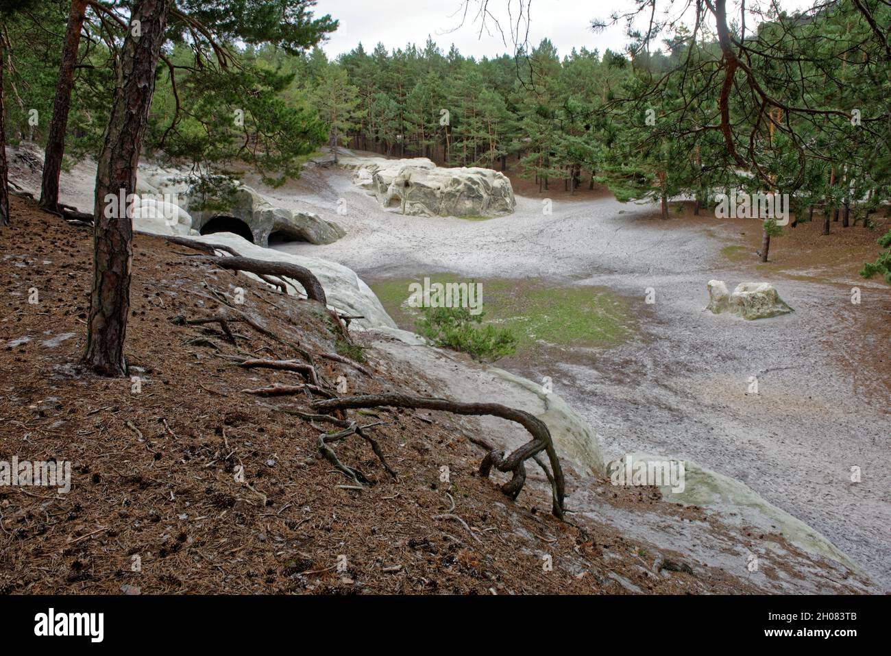 Regenstein Castle,Harz,Germany.Sandhutsche of Germanen.Burg Regenstein ...