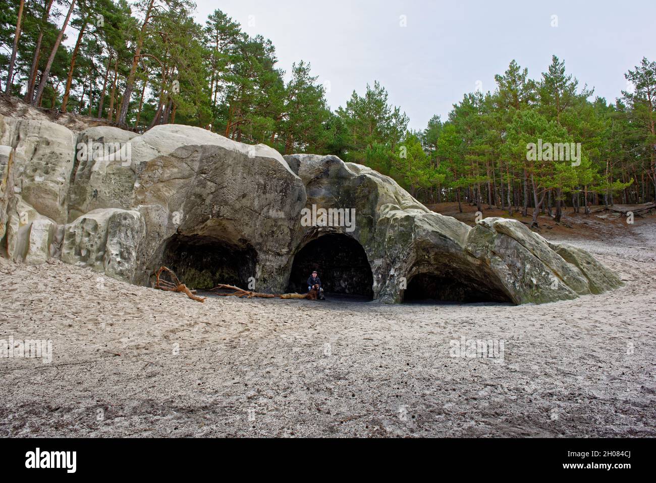 Regenstein Castle,Harz,Germany.Sandhutsche of Germanen.Burg Regenstein ...