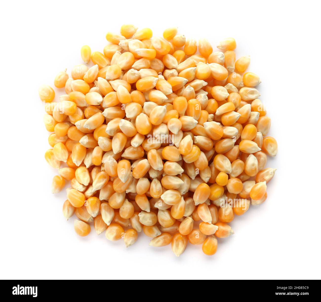 Raw corn kernels on white background. Healthy grains and cereals Stock ...