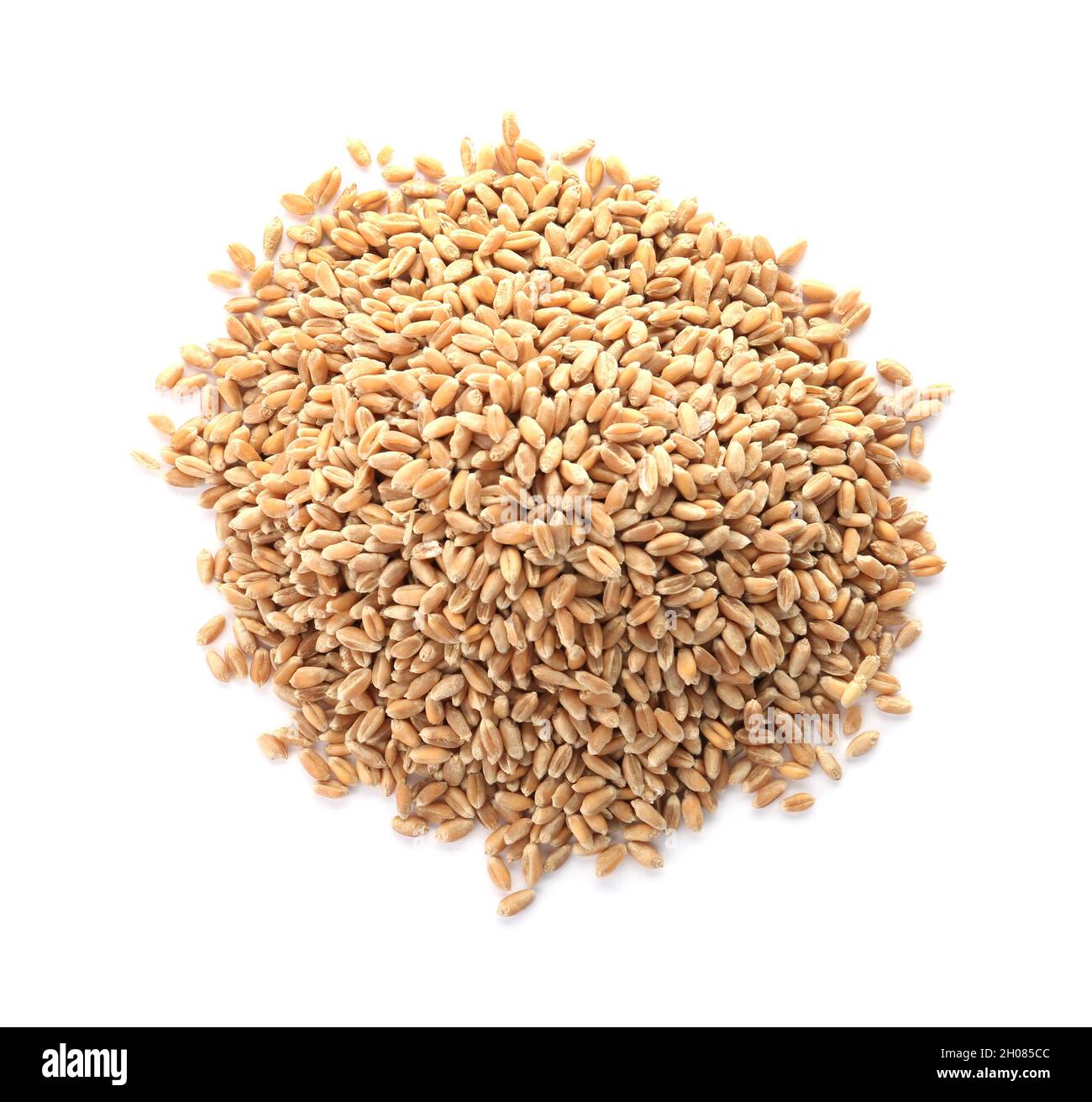 Raw wheat on white background. Healthy grains and cereals Stock Photo ...