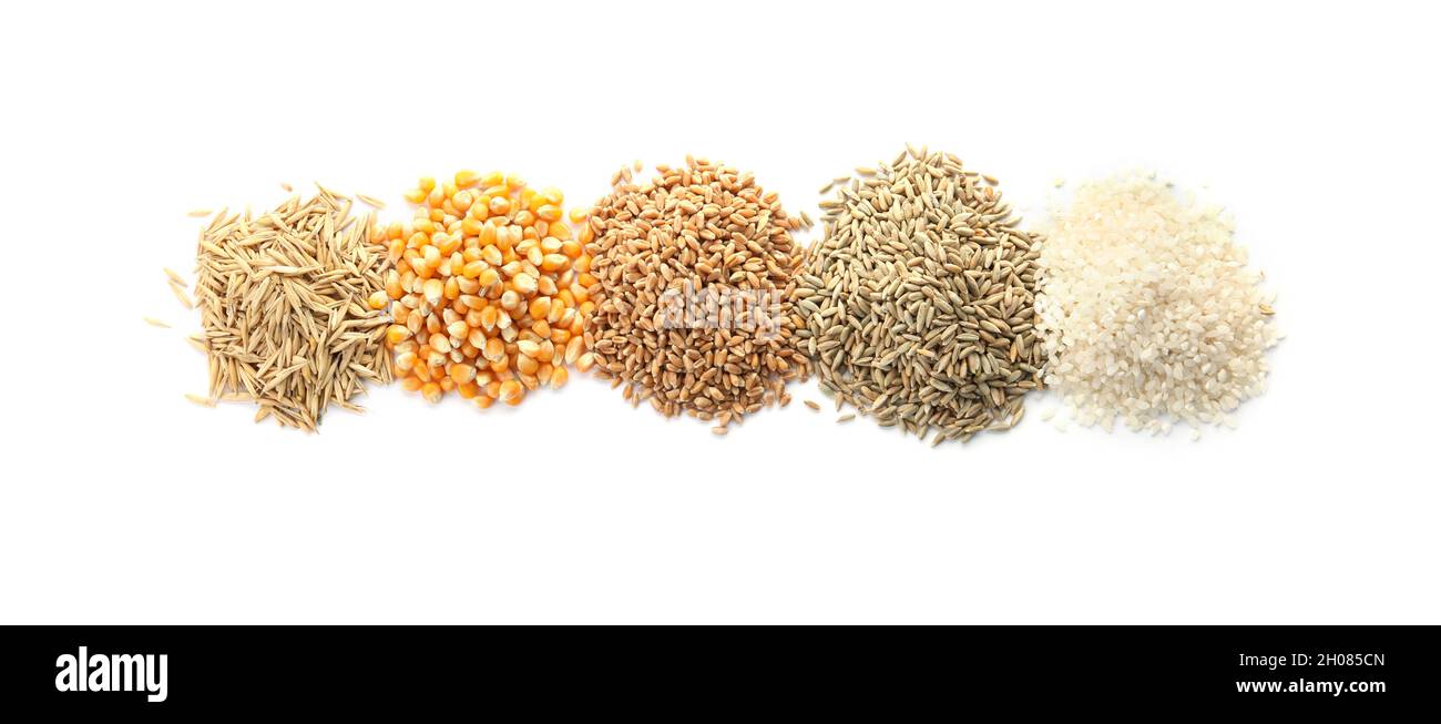 Different types of grains and cereals on white background Stock Photo ...