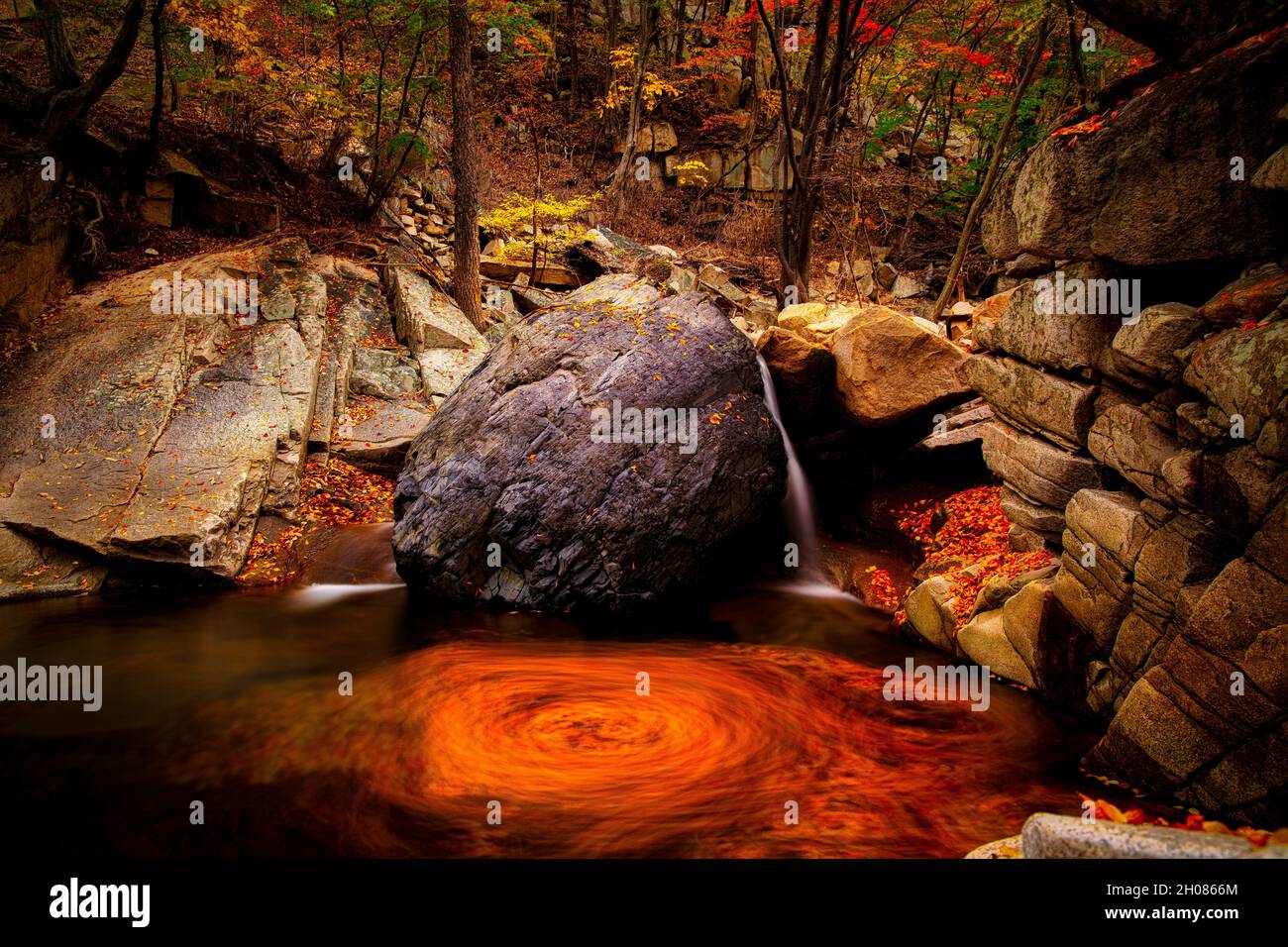Breathtaking shot of a river in a forestfull of colorful leaves in ...