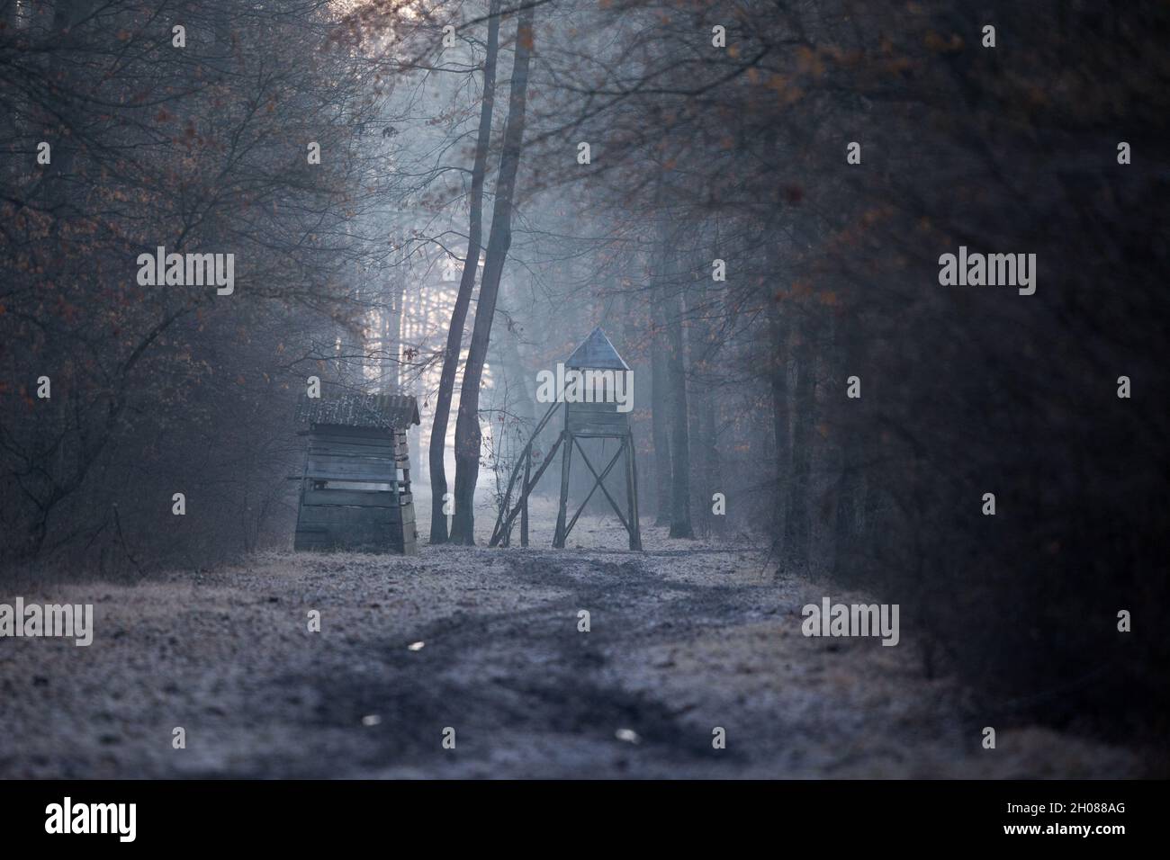 Winter landscape of watchtower in forest with dew on grass in morning ...