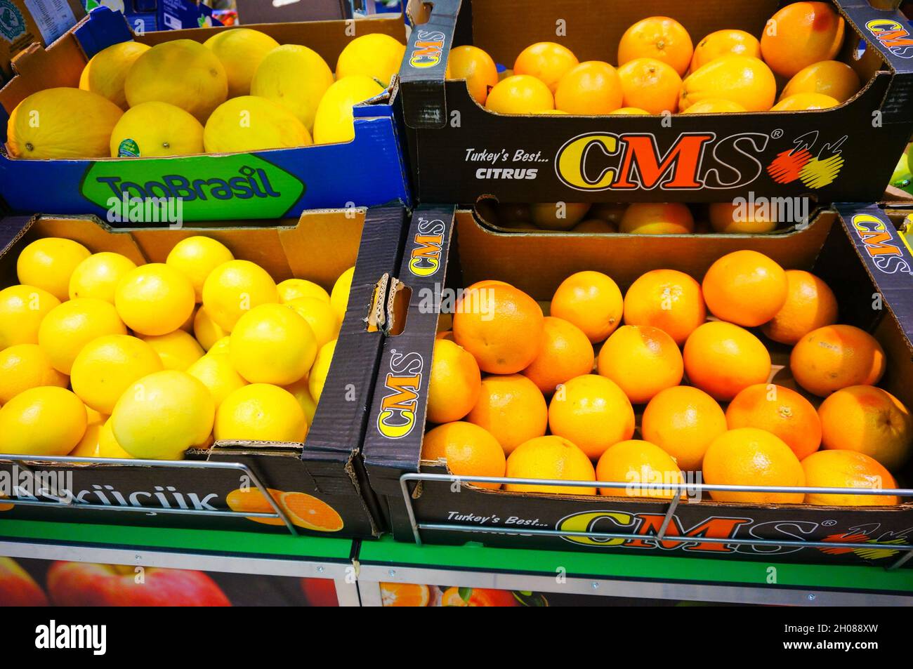 POZNAN, POLAND - Feb 10, 2016: A row of different citrus fruit for sale ...