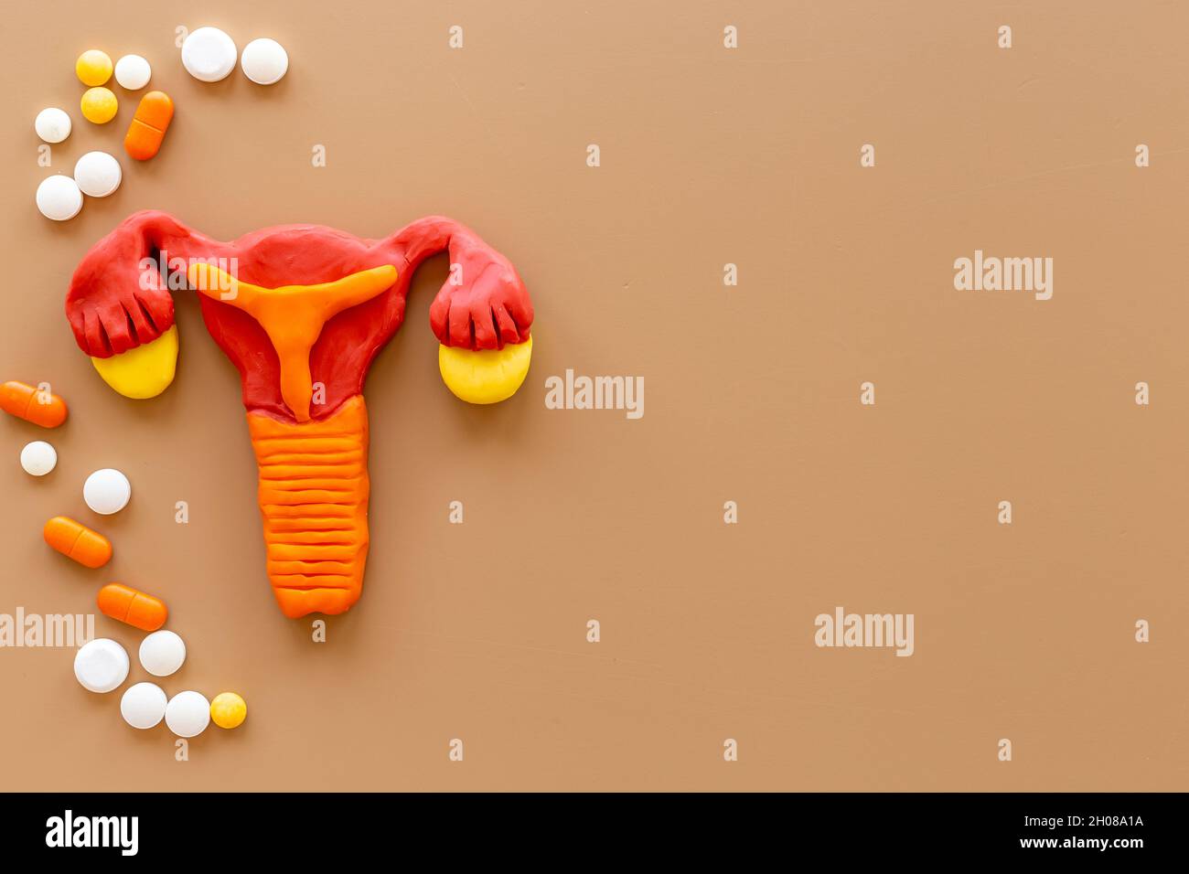 Female uterus and ovaries model - health reproductive system Stock ...