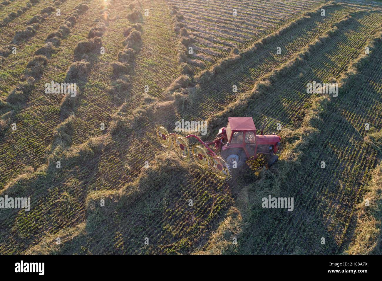 Top view of tractor with hay tedders collecting dry lucerne for balling ...