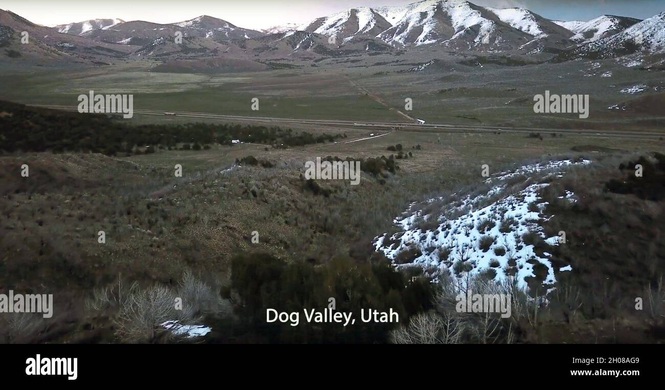 DOG VALLEY, Dog Valley, Utah, 2020. © Gravitas Ventures / Courtesy ...
