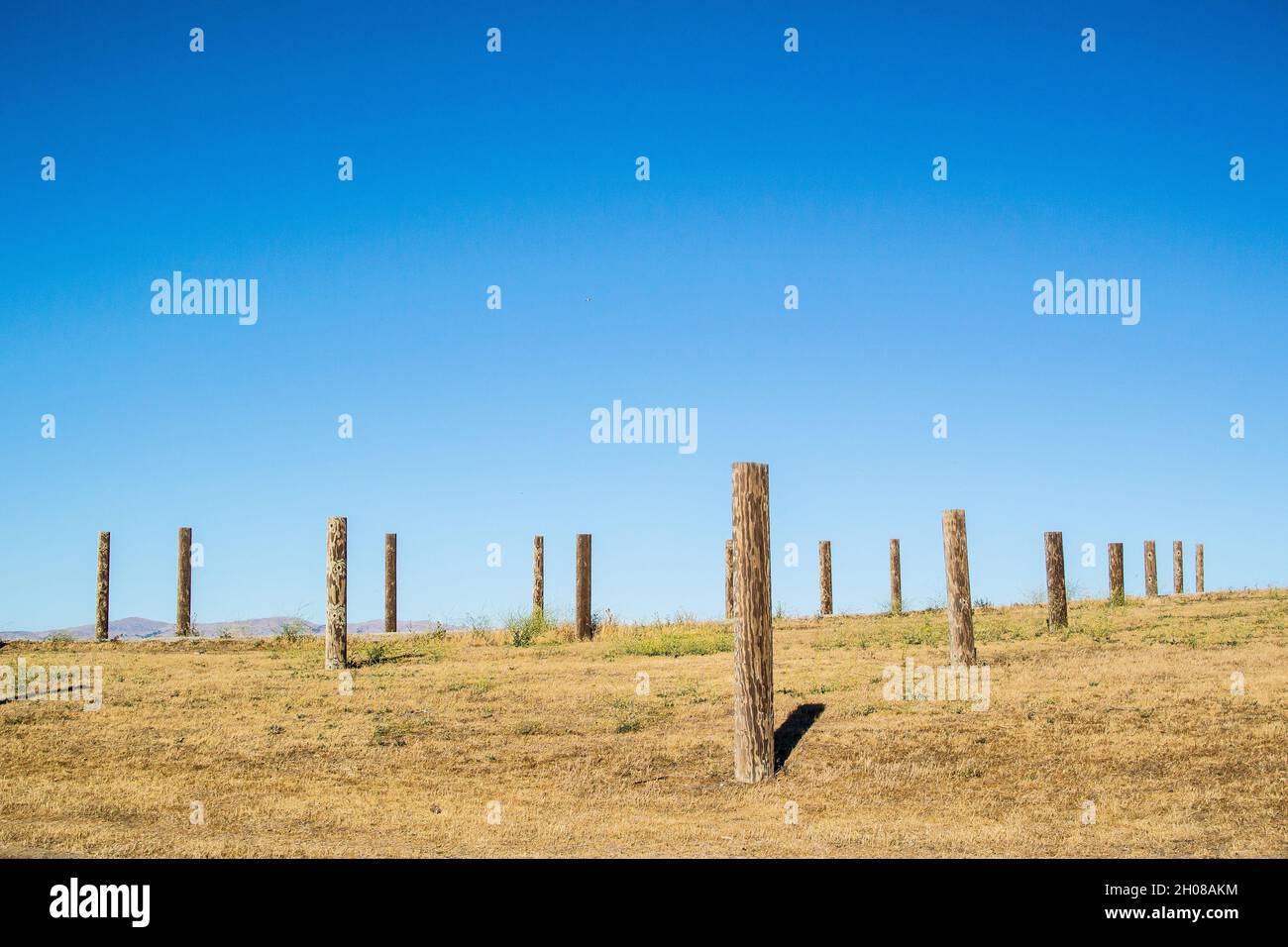 Pole Field - grid of truncated wooden poles planted in undulating ...
