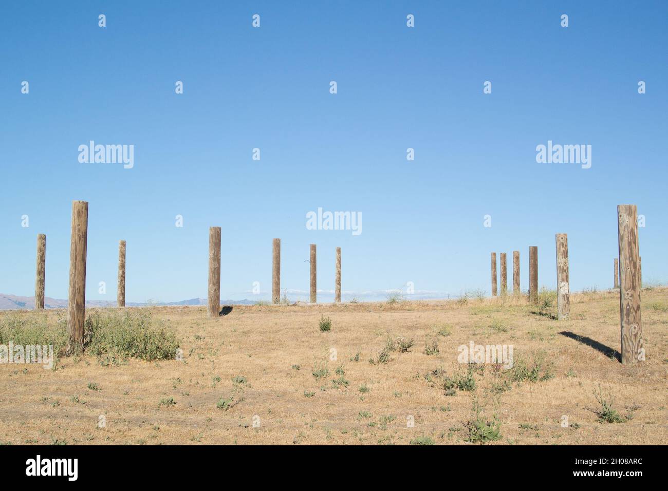 Pole Field - grid of truncated wooden poles planted in undulating ...