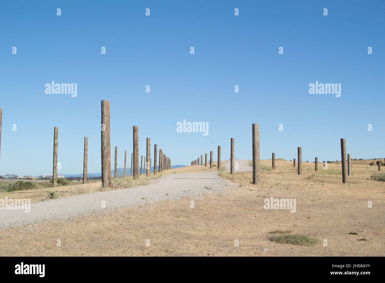 Pole Field - grid of truncated wooden poles planted in undulating ...