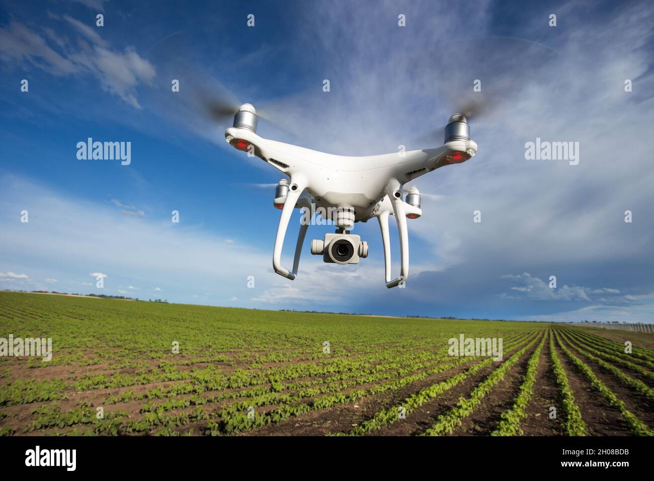 Drone flying above soybean field in spring with blue sky and white ...