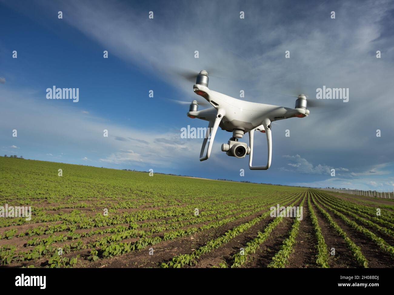 Drone flying above soybean field in spring with blue sky and white ...
