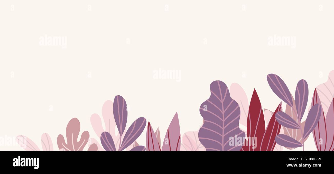 Floral web banner with drawn color exotic leaves. Nature concept design ...