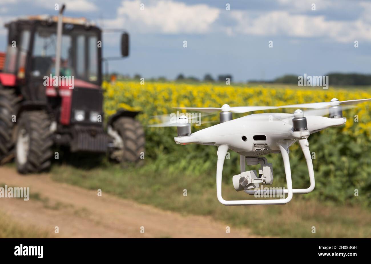 Drone flying in front of tractor with trailer in sunflower field in ...