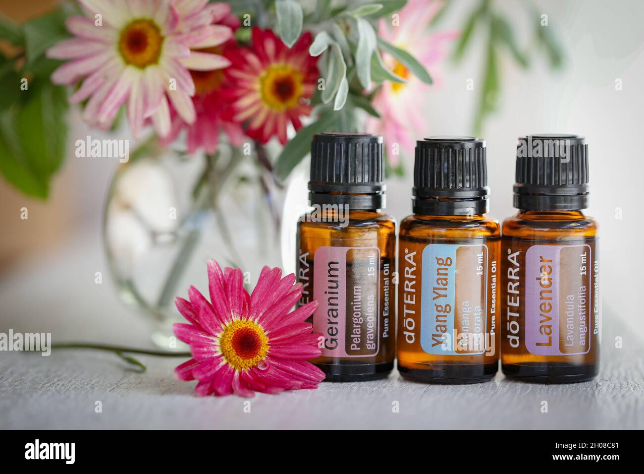 Mologa, Victoria Australia - October 11 2021: Doterra essential oil on ...