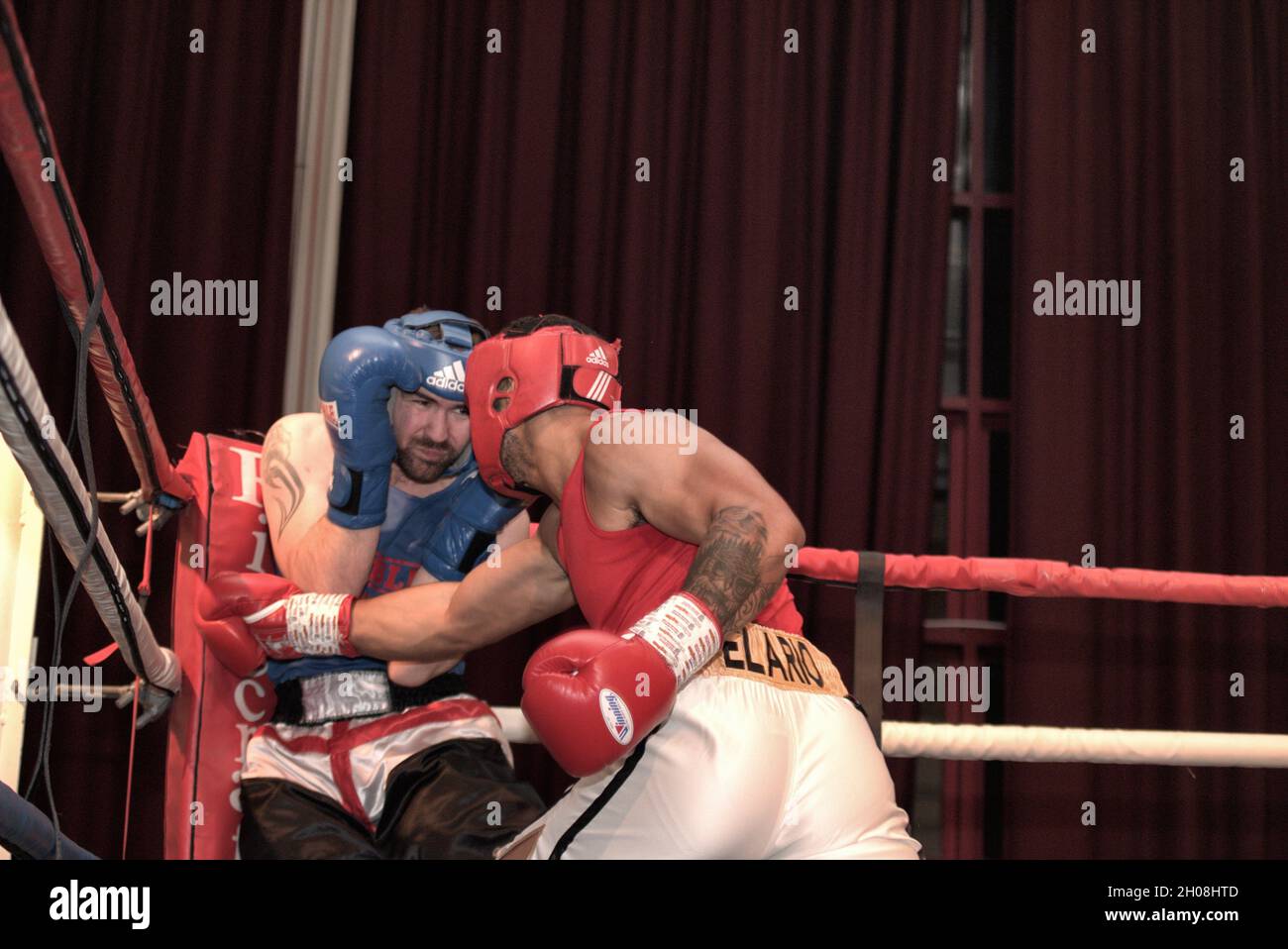 Ready to Rumble Stock Photo - Alamy