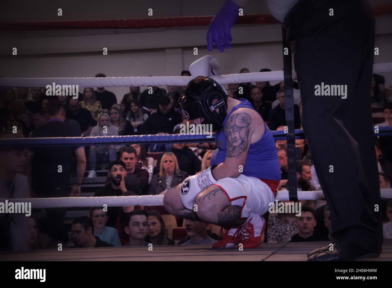 Ready to Rumble Stock Photo - Alamy