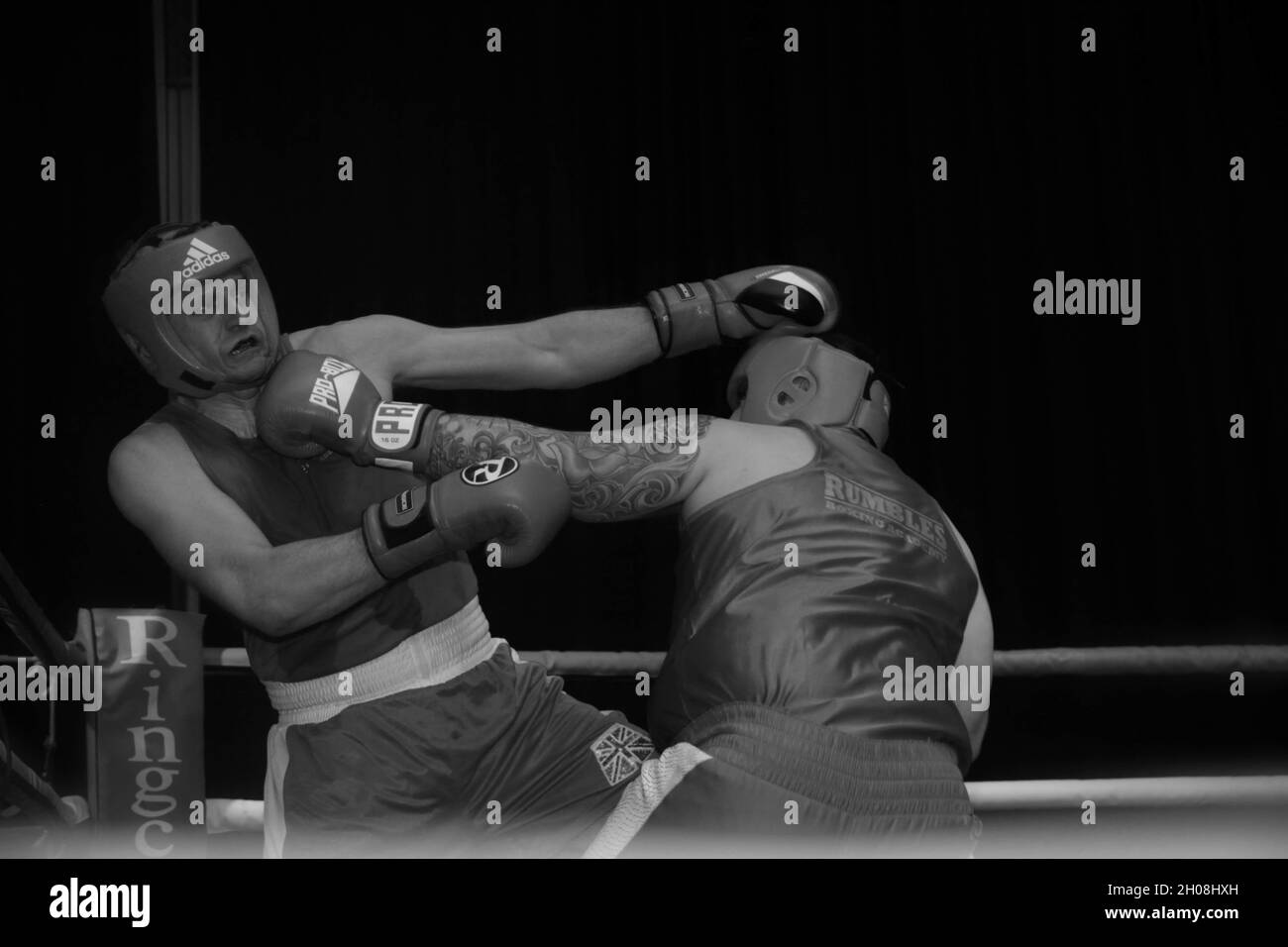 Ready to Rumble Stock Photo - Alamy