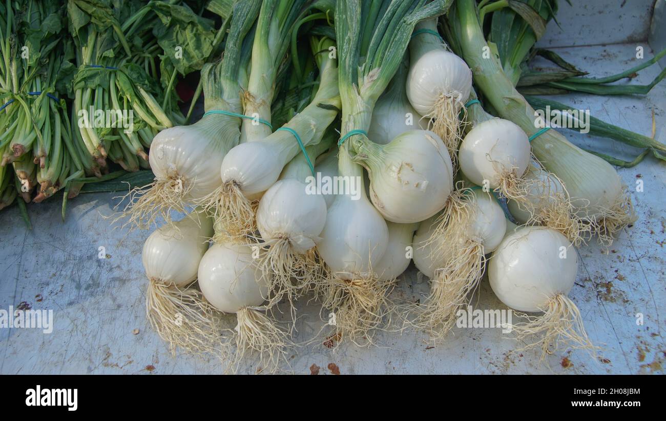 Bunch of fresh green spring onions at a market Stock Photo - Alamy