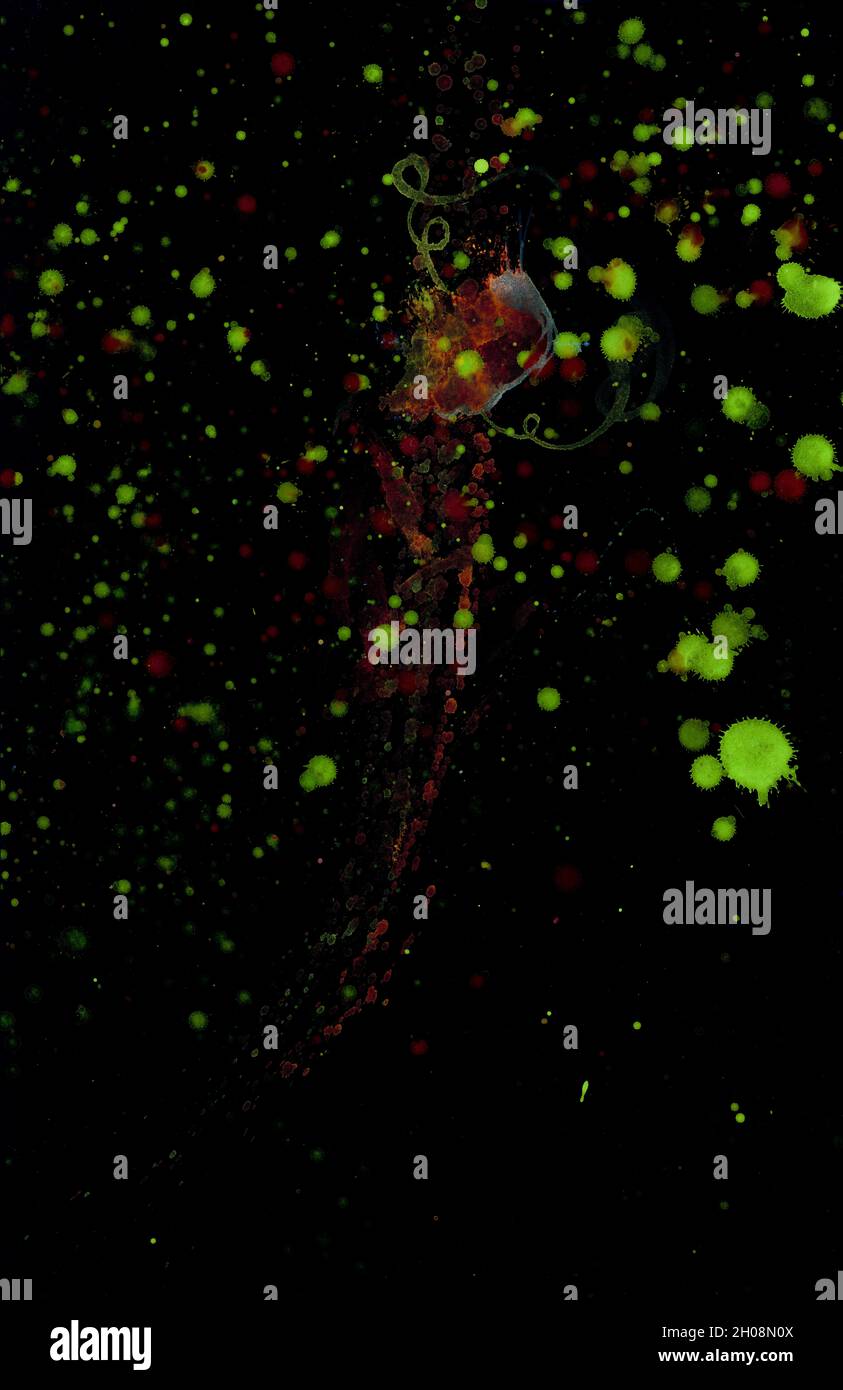 STP Screen Transfer Process - 0116 - Cloudmind Stock Photo - Alamy