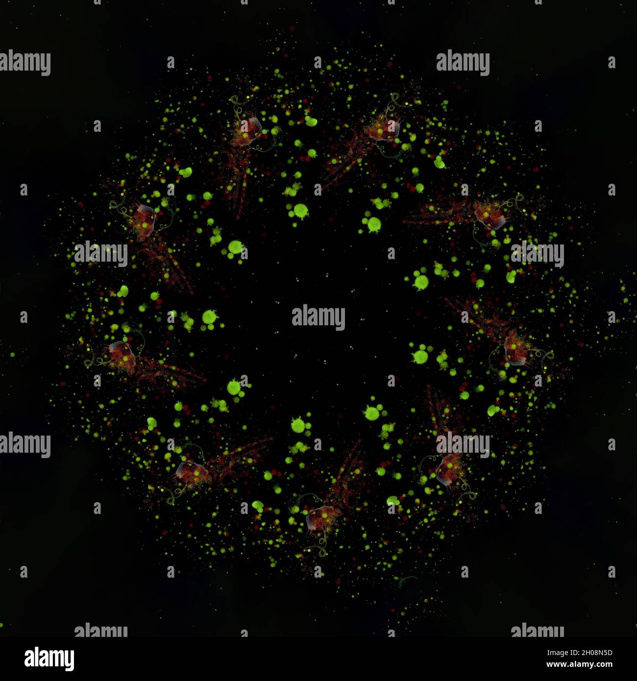Stp process hi-res stock photography and images - Alamy