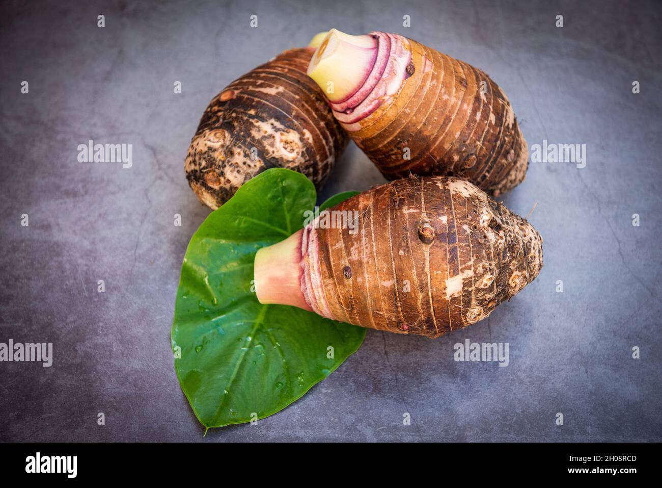 Taro root on taro leaf and dark background, Fresh raw organic taro root ...