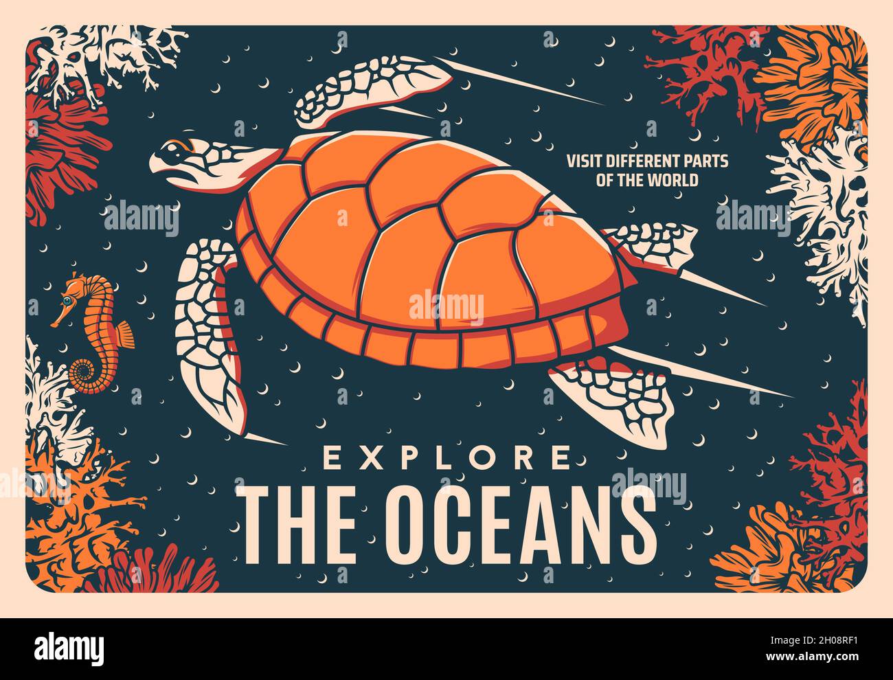 Sea turtle retro vector poster, oceanarium or ocean coral reef and ...