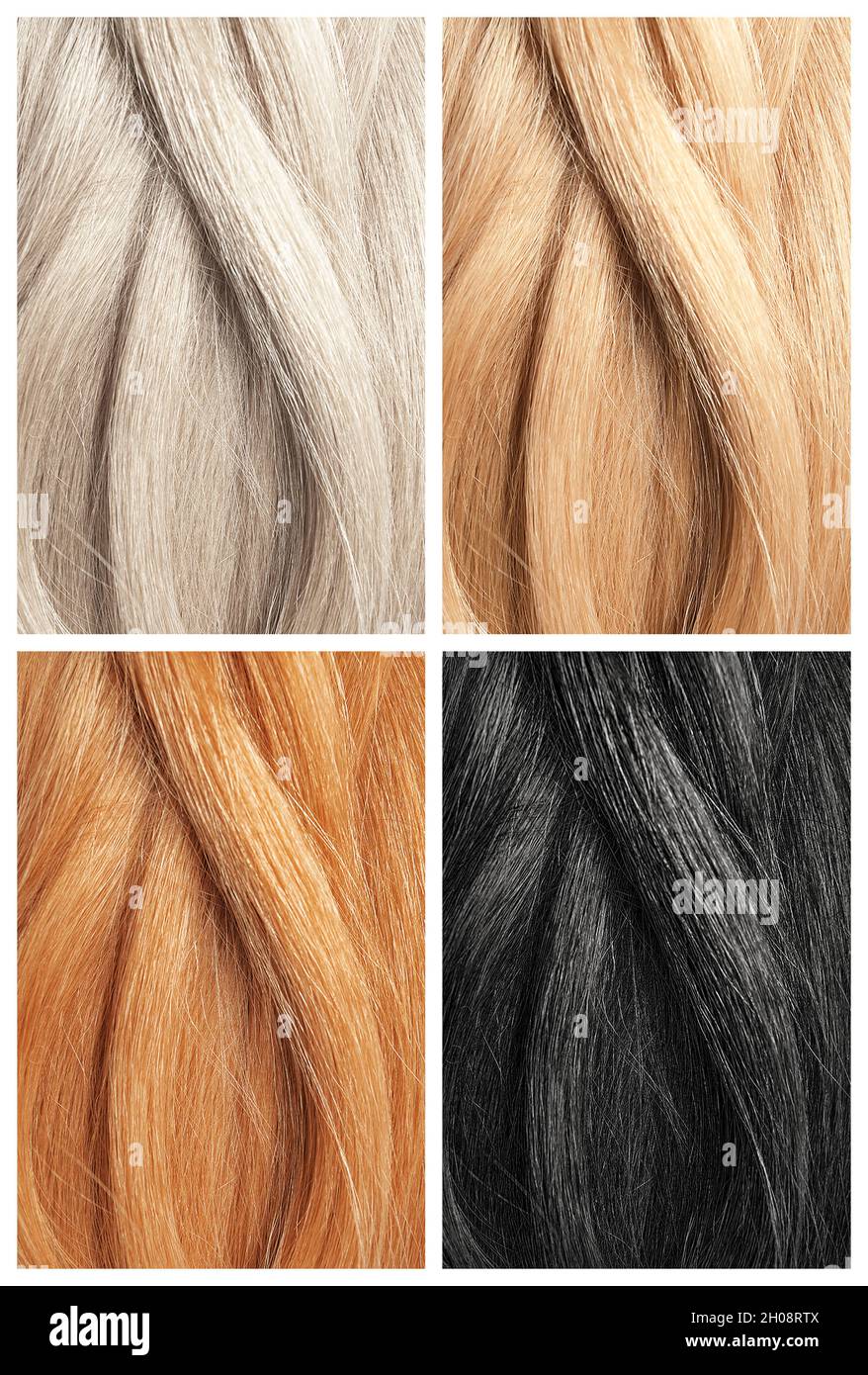 Set with color hair samples. Beauty and professional treatment Stock ...