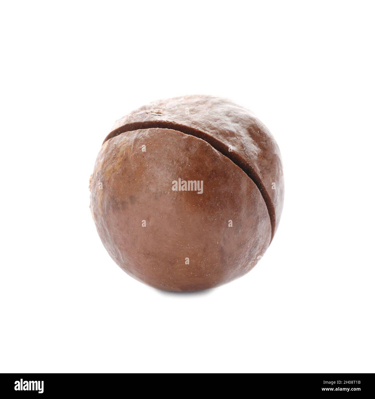 Single organic Macadamia nut on white background Stock Photo - Alamy