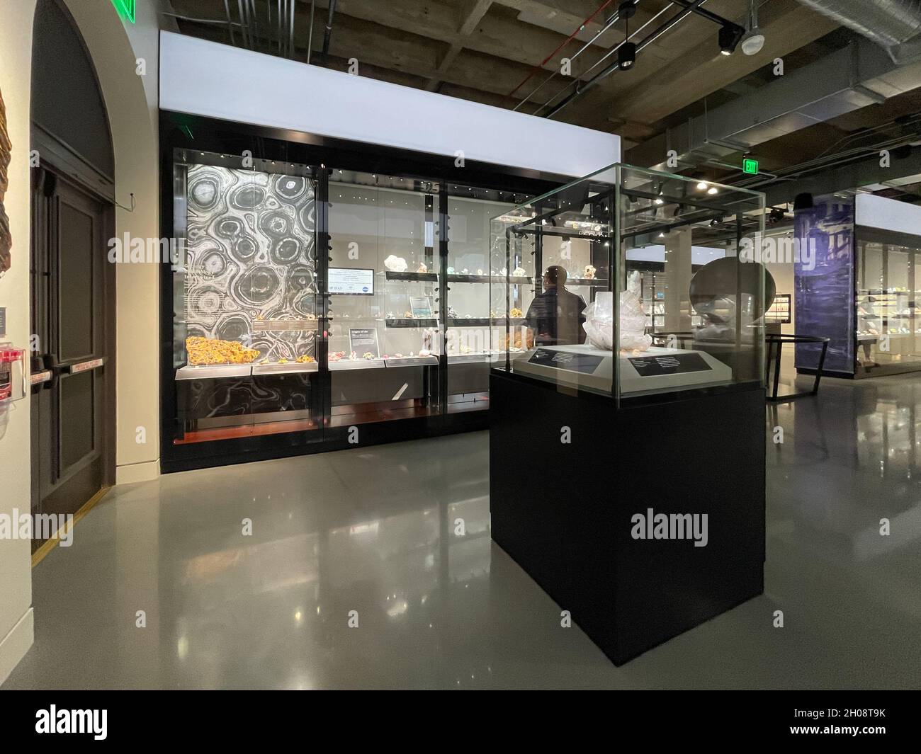 Gem and Mineral museum exhibition in Tucson, Arizona. Man looks at ...