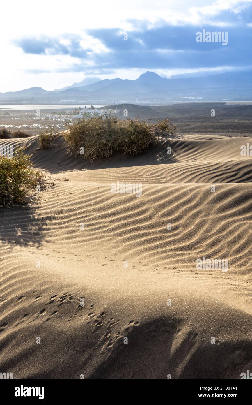 Landscape of a semi-desert with arid nature Stock Photo - Alamy
