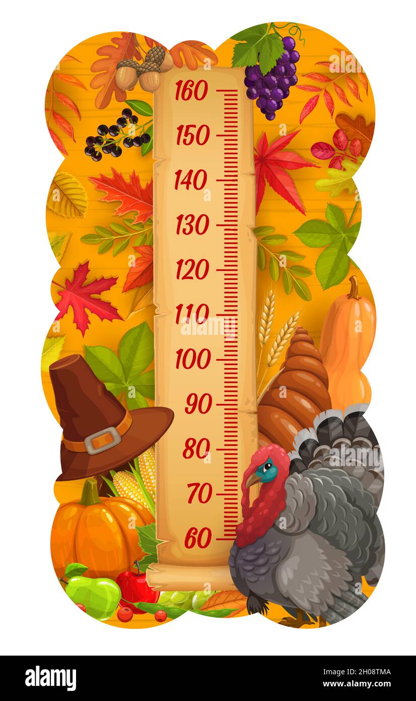 Turkey Growth Chart Turkey Cookware Market Size & Share Analysis