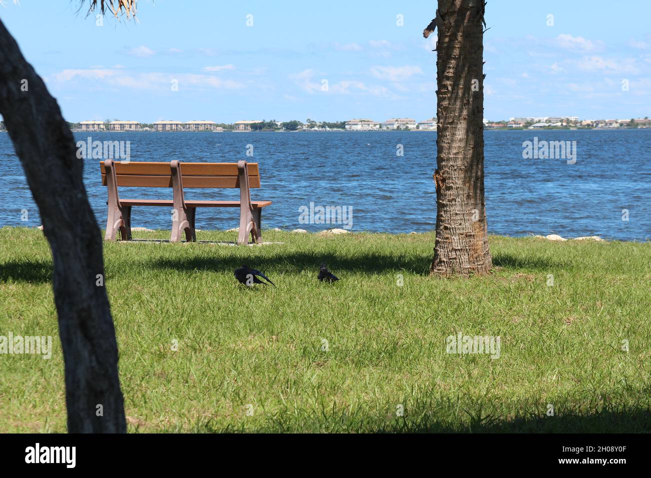 Bench under bridge hi-res stock photography and images - Alamy