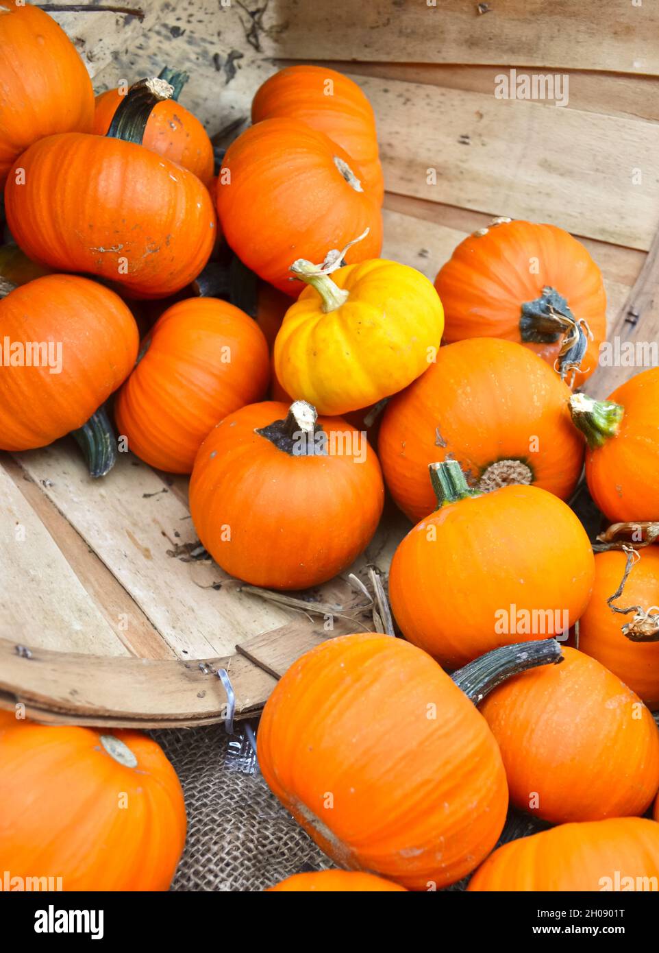 Bushel basket hi-res stock photography and images - Alamy