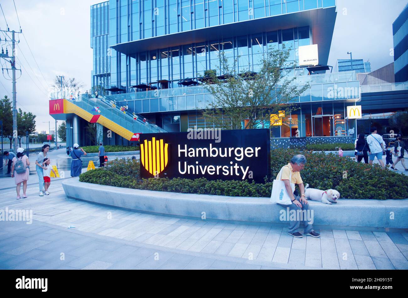 Hamburger University Logo