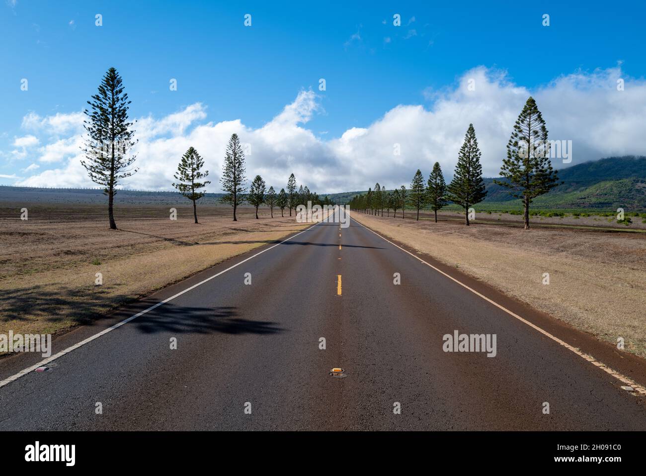 Open Road in Lanai, Hawaii Stock Photo - Alamy