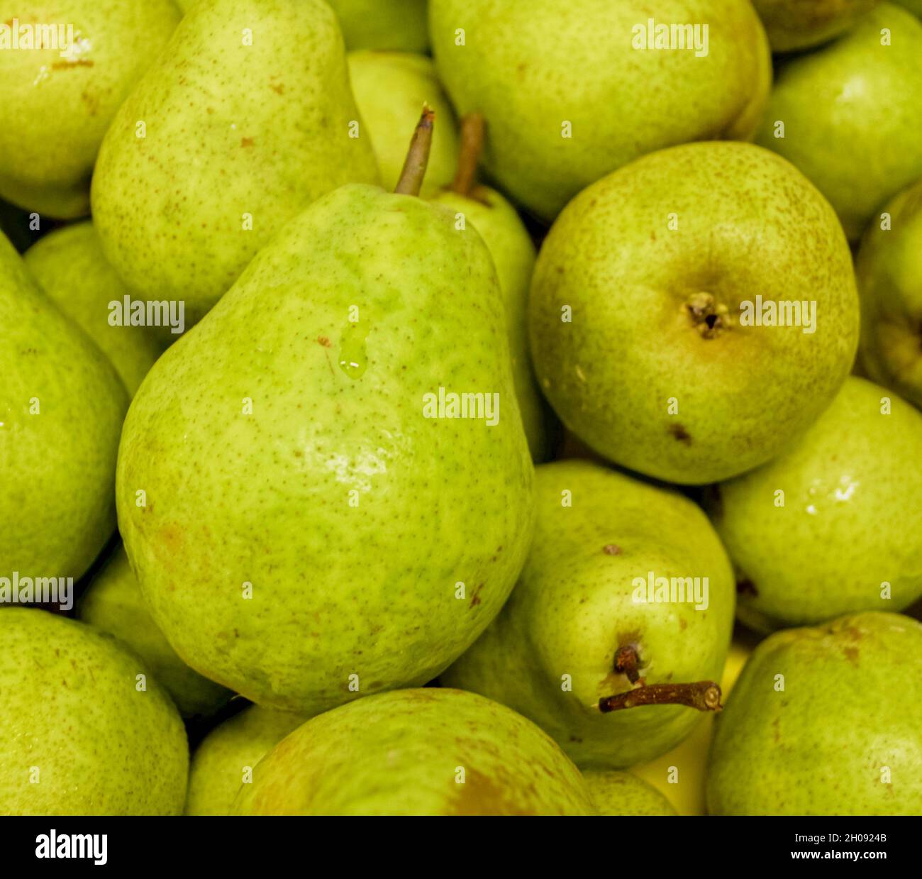 Bartlett pear tree hi-res stock photography and images - Alamy