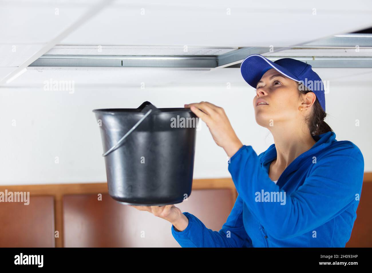 female worker holding bucket under leaking ceiling Stock Photo - Alamy