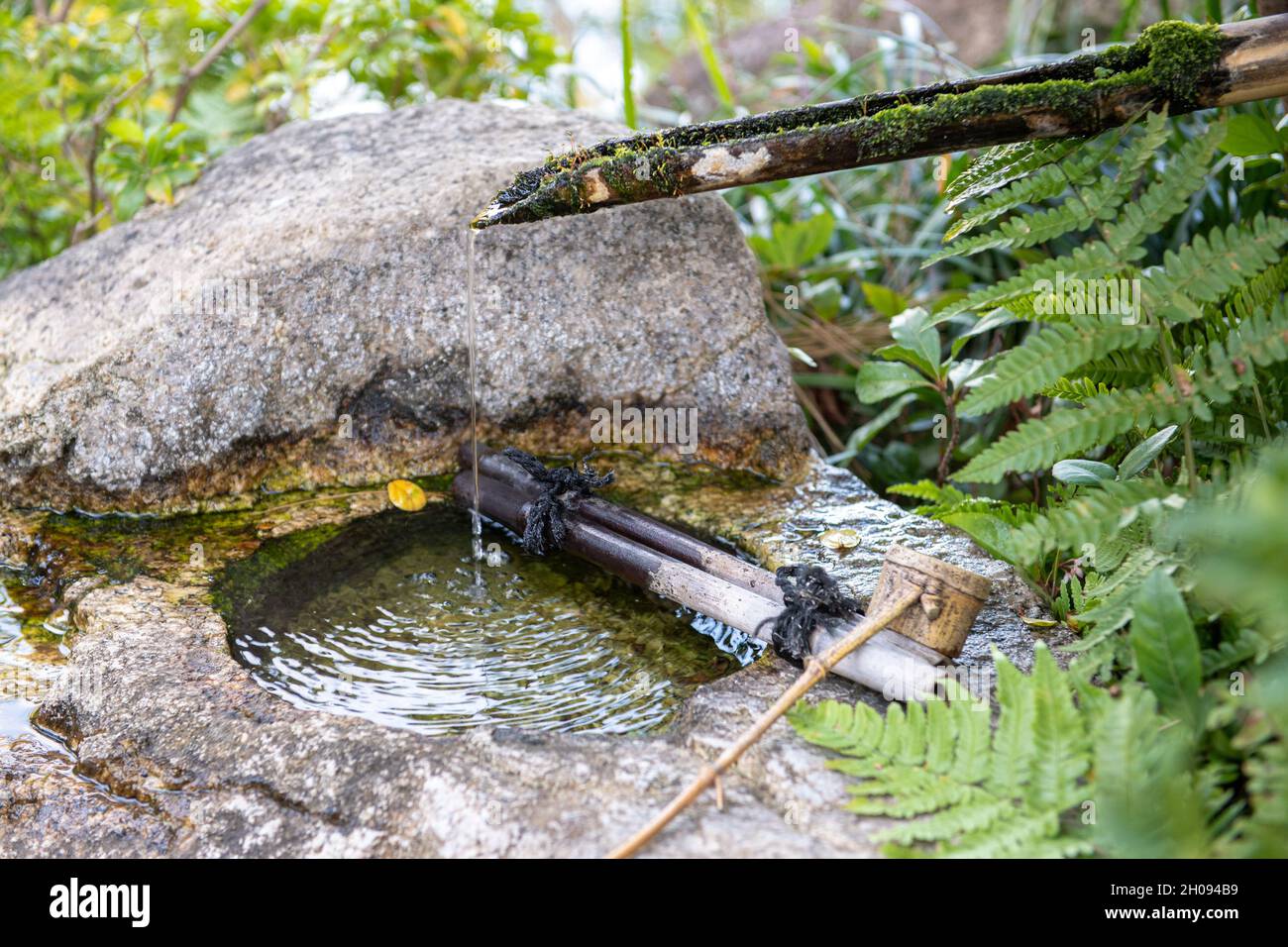 Zen stone water basin with bamboo piped running water. Japanese garden ...