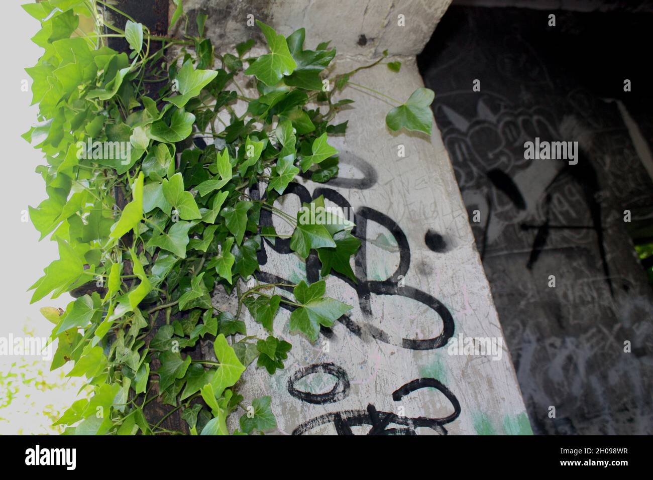 Post apocalyptic graffiti hi-res stock photography and images - Alamy