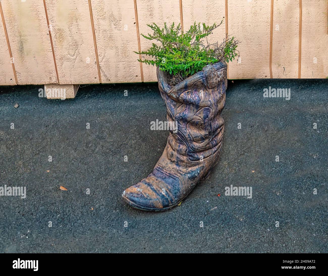 Planted flowers in boots hi-res stock photography and images - Alamy
