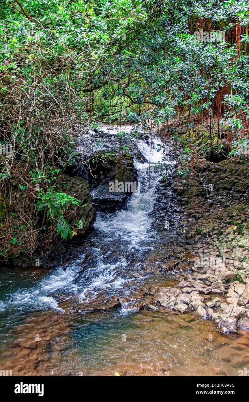 Pipiwai Stream on the Road to Hana, Maui Hawaii US Stock Photo - Alamy